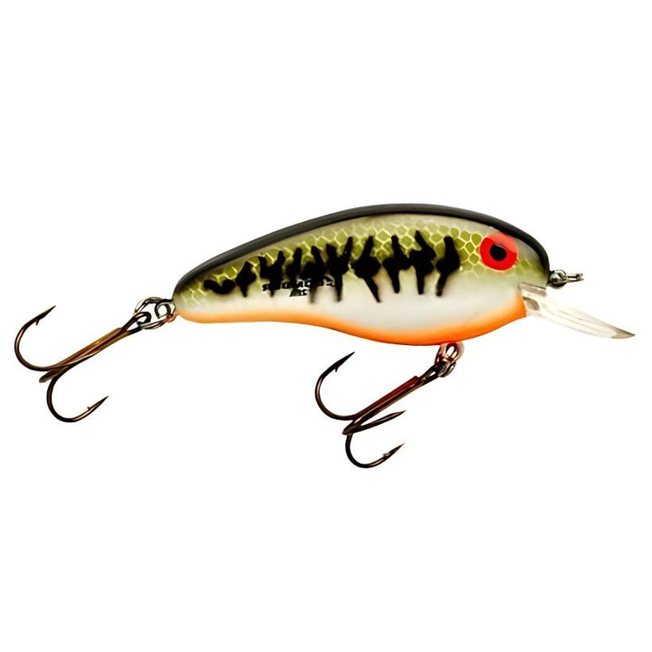 Bomber Lures Flat A Crankbaits – Southern Reel Outfitters
