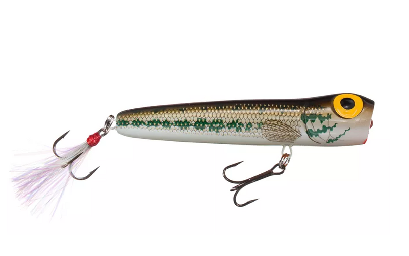 Storm Rattlin Chug Bug Topwater Lure | Southern Reel Outfitters